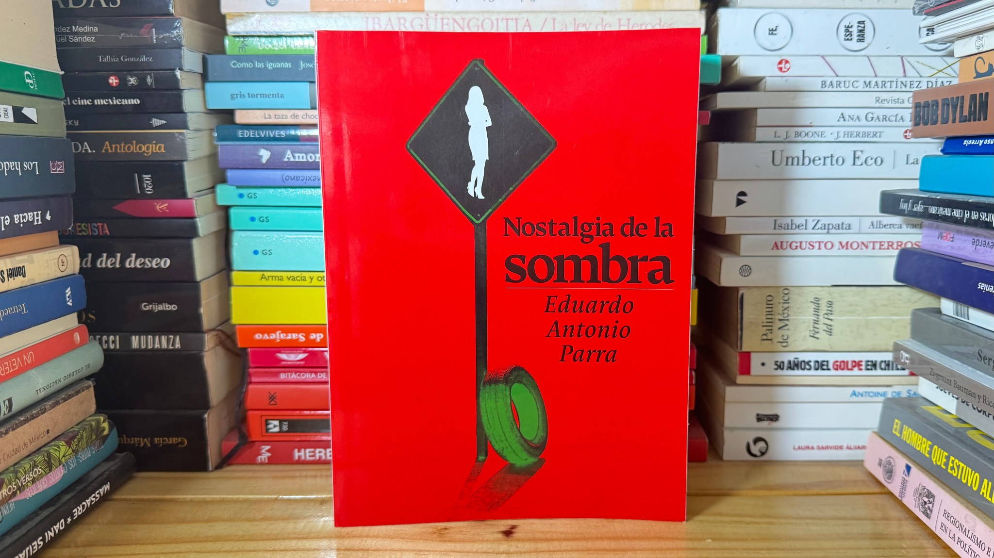 Nostalgia de la sombra: una novela oscura y profunda – SERENDIPIA LITERARIA
